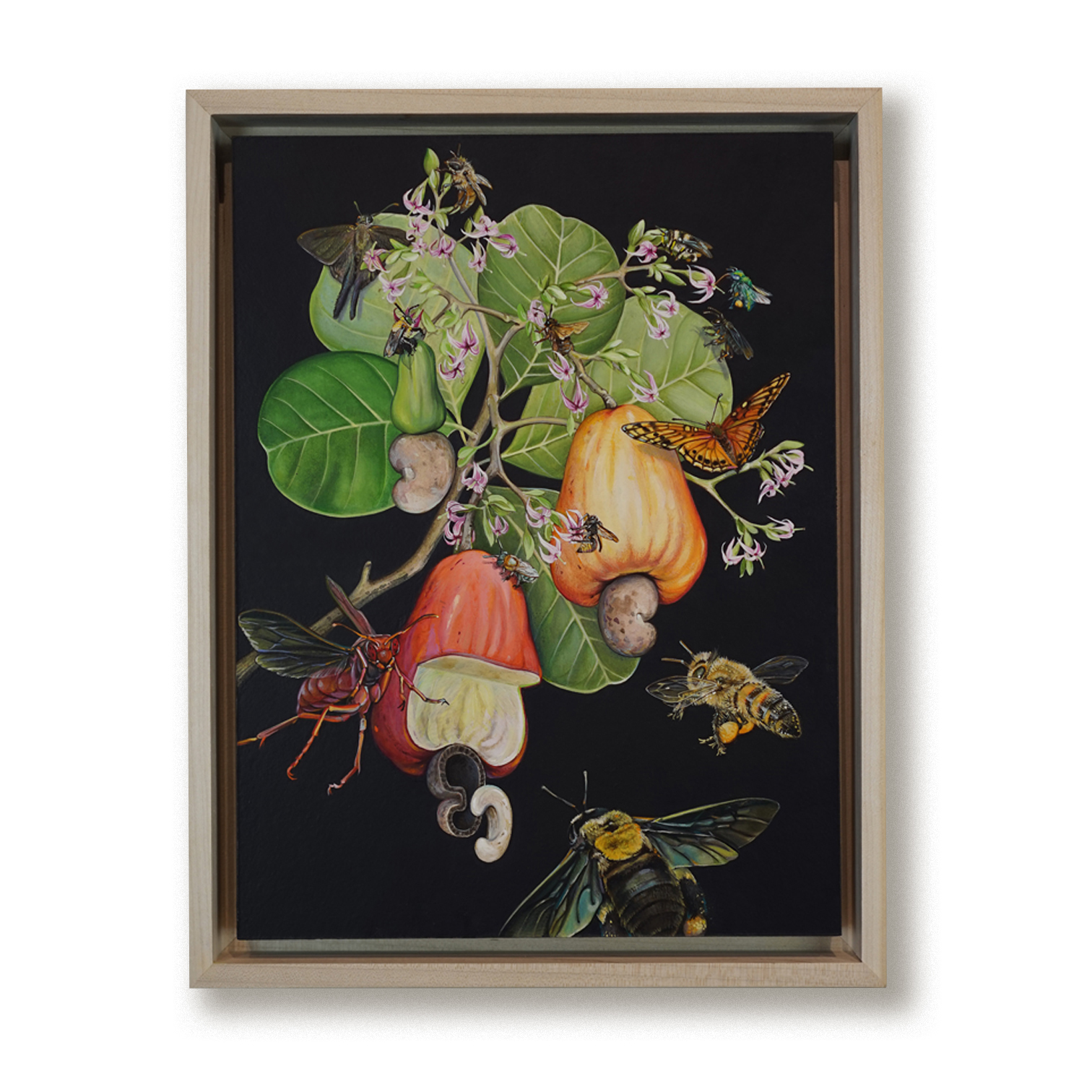 For a Single Nut - Ink Dwell