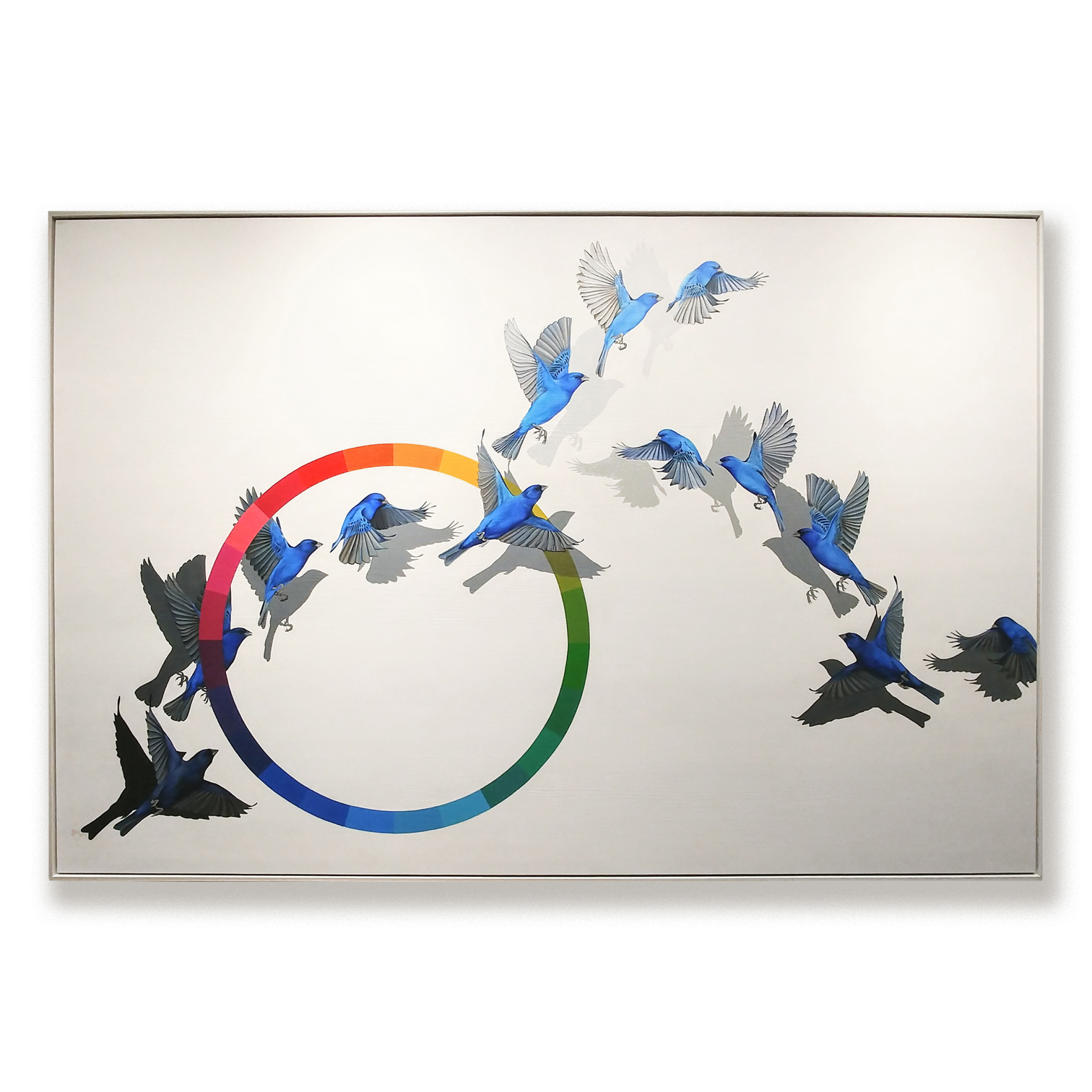 RGB(ird) - Ink Dwell