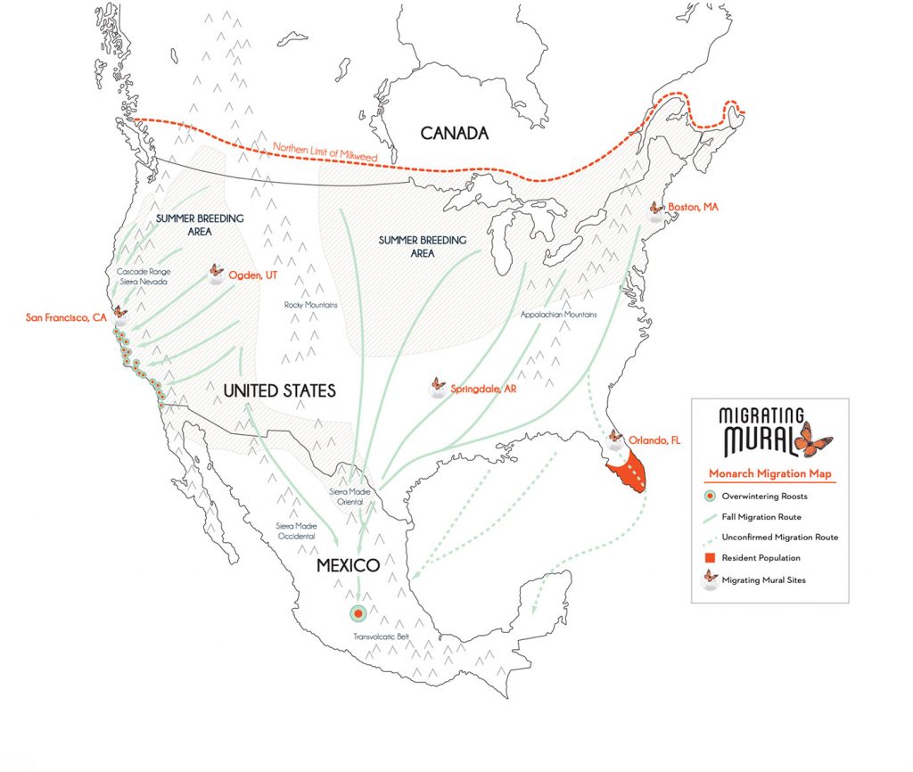 Monarch Butterfly - Ink Dwell